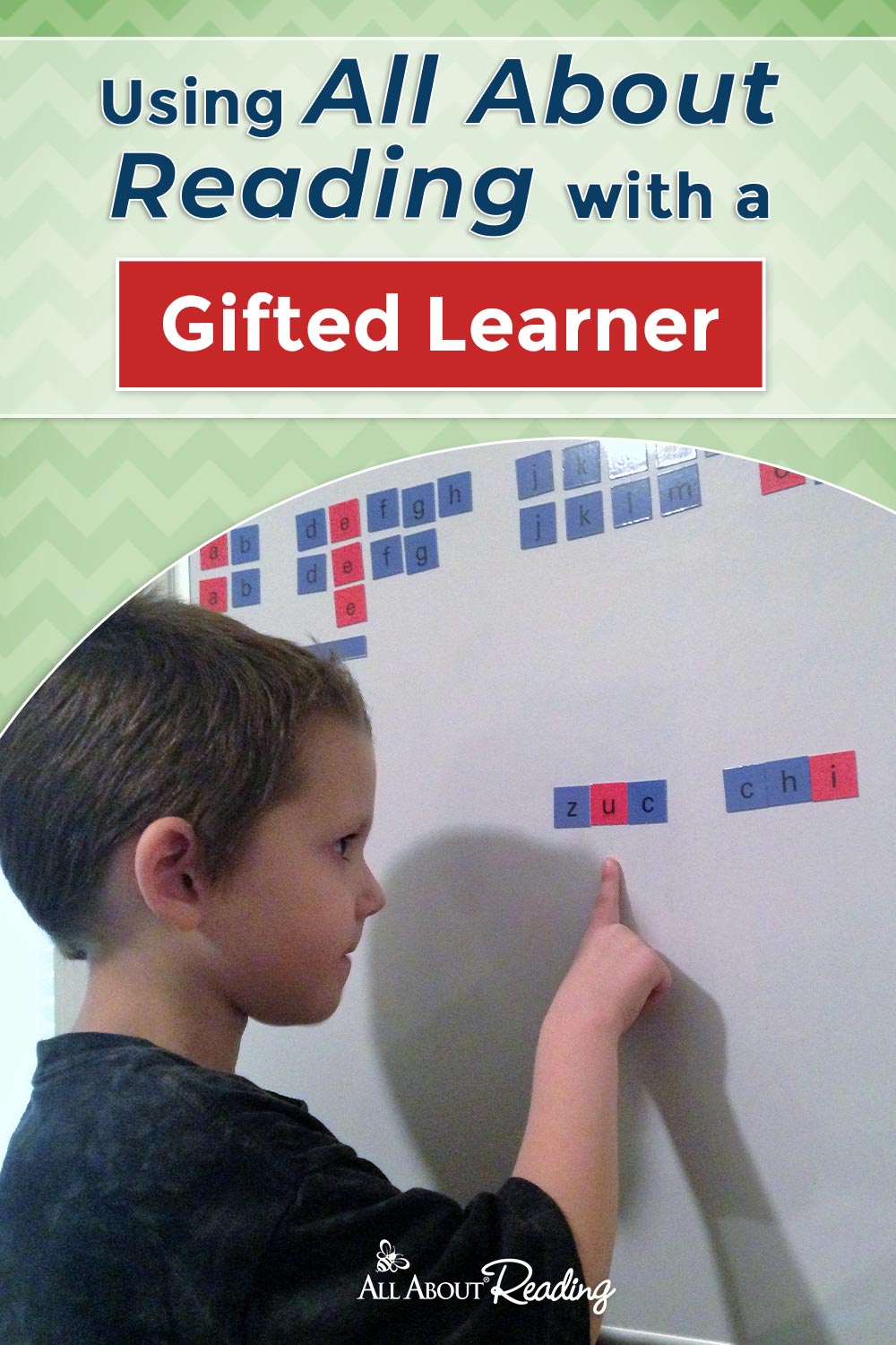 Real Dads, Real Kids: Using All About Reading with a Gifted Learner