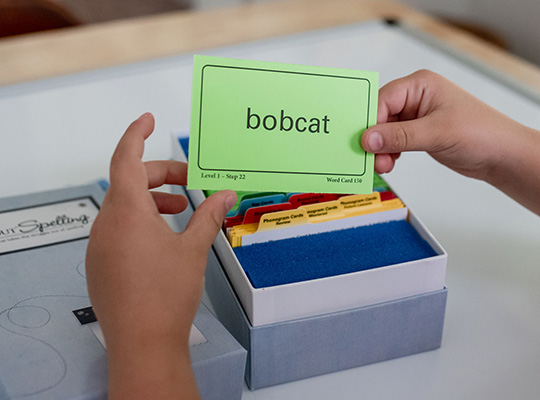 10 Great Ways to Review Spelling Word Cards – All About Spelling